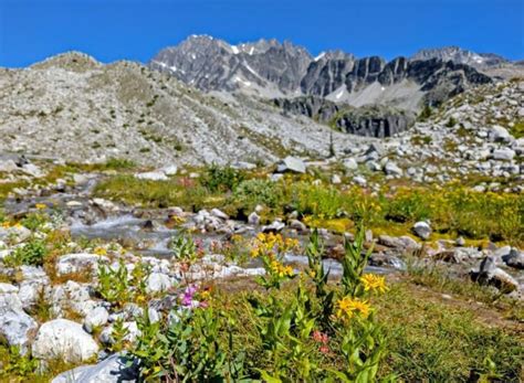 The Hermit Trail Glacier National Park Complete Hiking Guide Off