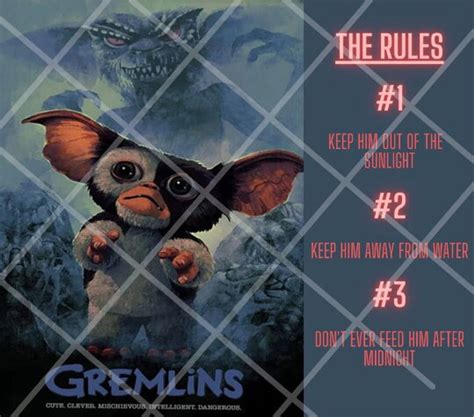 Gremlins The Rules Tumbler Etsy
