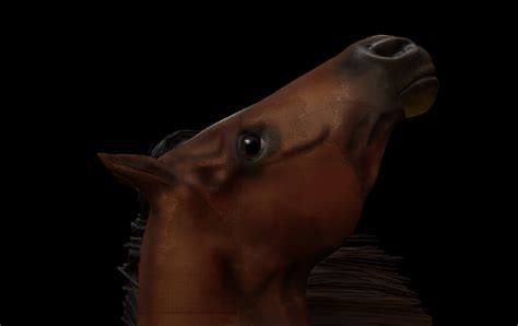 why is my render turning out like this in eevee r blenderhelp