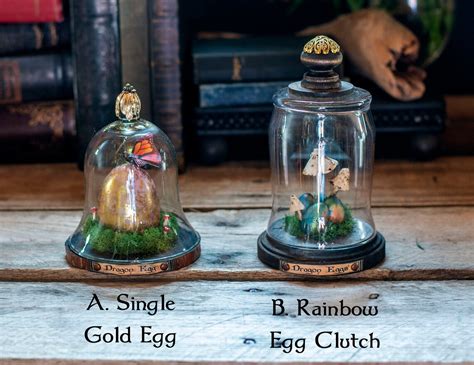 Dragon Egg Specimen Collection Dragon Eggs Mushroom And Moss Etsy
