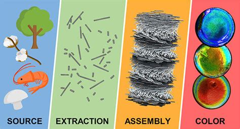 Chitin Nanocrystal Self Assembly