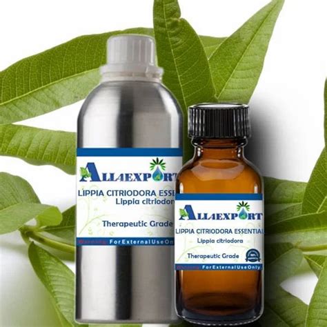 Pure Lippia Citriodora Essential Oil Lippia Citriodora Premium And Natural Quality Oil At