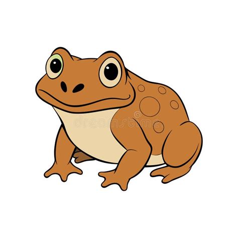 Engaging Endemic Toad Coloring Template Stock Image Illustration Of