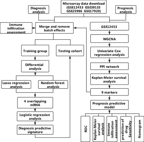 Workflow Chart Of Data Generation And Analysis Download Scientific