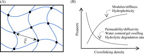 Peg Hydrogels For The Controlled Release Of Biomolecules In Regenerative Medicine Abstract