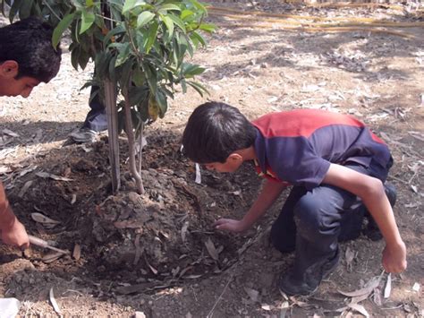 Composting An Exothermic Reaction Explorers