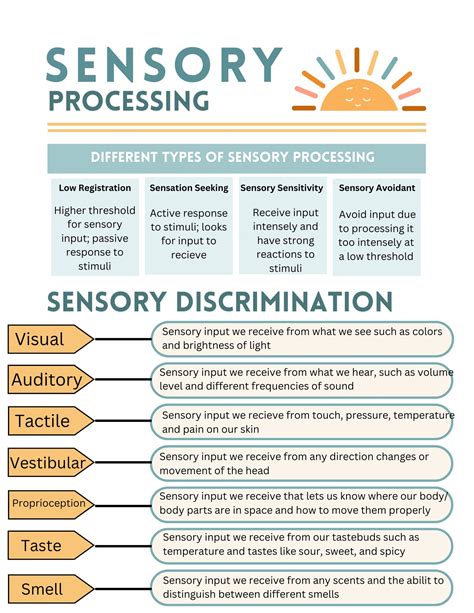 Occupational Therapy Sensory Processing Infographic Etsy