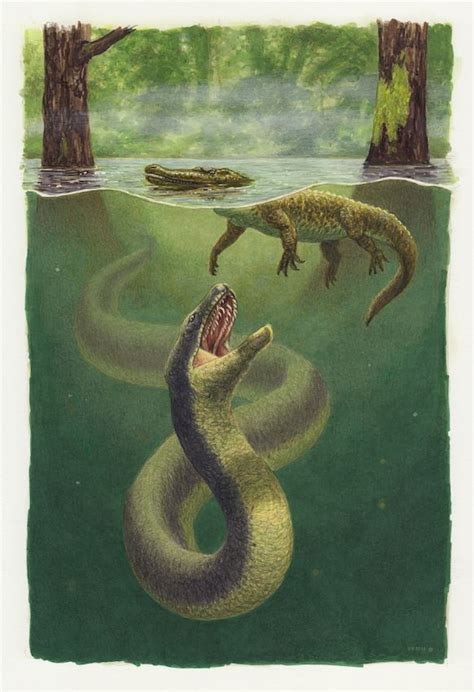 Prehistoric Wildlife Titanoboa