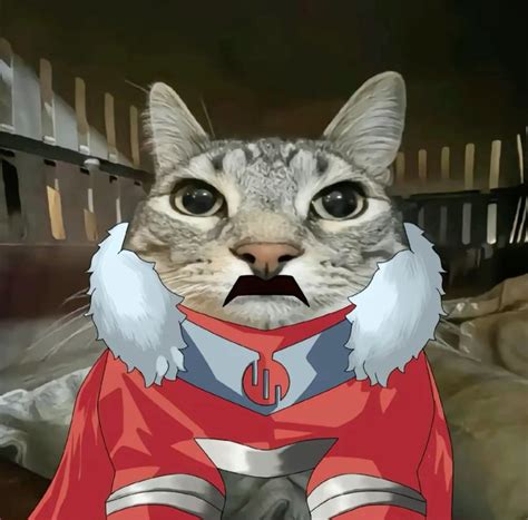 Thragg Cat In 2025 Funny Cartoon S Cute Drawings Cat Memes