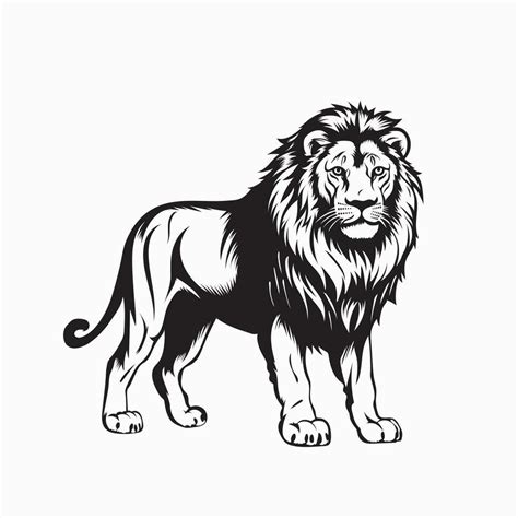 Lion Vector Illustration Lion Vector Vector Art Vector Illustration