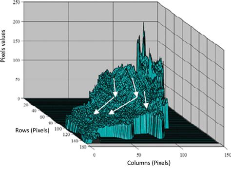 Flow Direction Map Of The Study Area Download Scientific Diagram