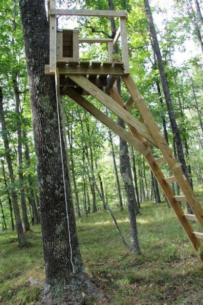 Diy Deer Hunter Build A Wooden Ladder Stand Artofit