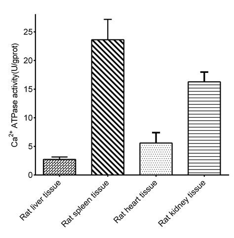 Ca2 Atp酶比色法测试盒（e Bc K212 M） Elabscience伊莱瑞特