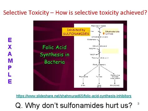Basics Of Antimicrobial Therapy 1 Selective Toxicity How