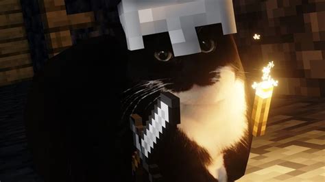 Maxwell The Cat Goes Mining ⚒️ Silly Cats Cats Funny Cute Cats