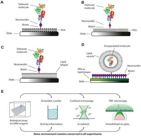 Molecules Special Issue Single Molecule Techniques