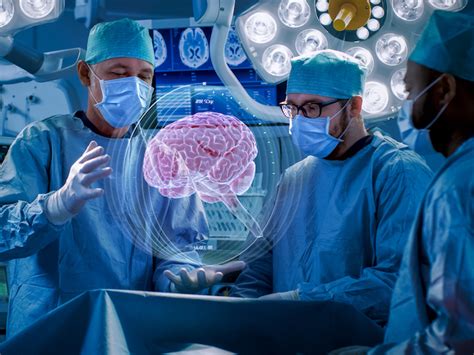 brain simulation section brainmodes project and results highlighted by