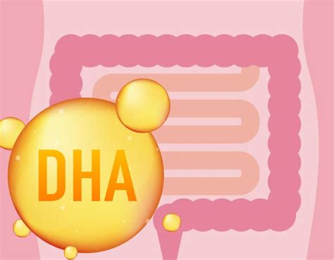 🌱 Enhancing Gut Health With Algal Dha 🌱 In Todays Fast Paced World