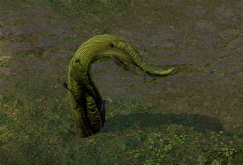 Assassin Vine Official Pillars Of Eternity Wiki