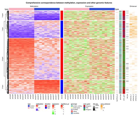 Chapter 9 More Examples Complexheatmap Complete Reference