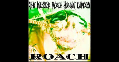 Sht Infested Roach Human Carcass Discography Quiz By Doctrstarterlocs