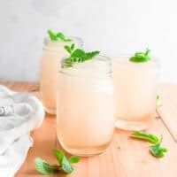 Frozen Mint Julep Nutmeg Nanny