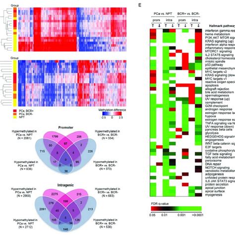 Microarray Based Dna Methylation Analysis A Dna Methylation Download Scientific Diagram