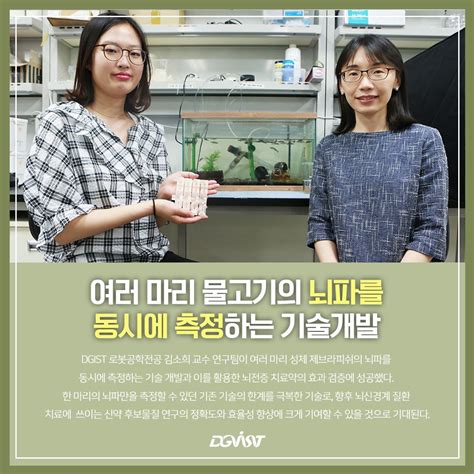 Dgist Dgist 로봇공학전공 김소희 교수 연구팀이 여러 마리 성체成體 제브라피쉬의 뇌파를