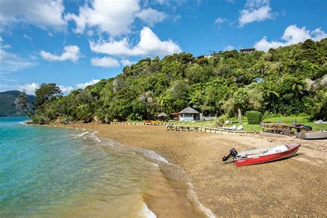 Punga Cove Resort Pool Pictures And Reviews Tripadvisor
