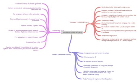 Classification Of Company Coggle Diagram