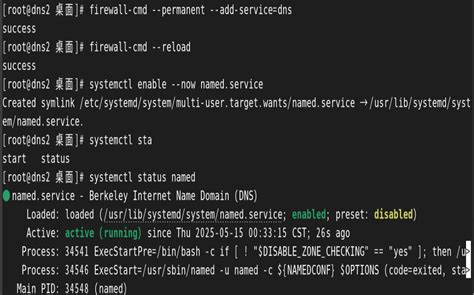 linux中的域名解析服务器 域名服务器 csdn博客