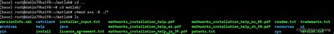 Matlab ：【12】手把手教你在linux以命令行方式（静默方式非图形化方式）安装matlab（正版）linux Matlab Csdn博客