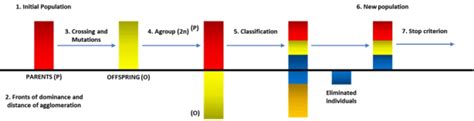 schematic representation of nsga ii download scientific diagram