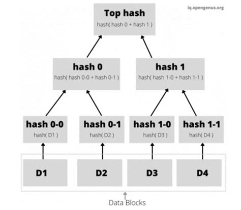 Github Bella Babujavamerkletree