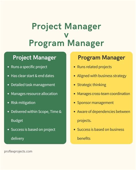 Program And Project Management Key Differences Namitha Mathew