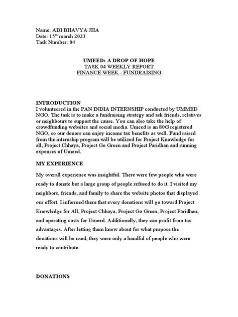 Adi Bhavya Jha Task 4 Report Umeed Pdf