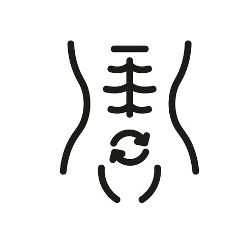 Premium Vector Supports Digestive Health Icon