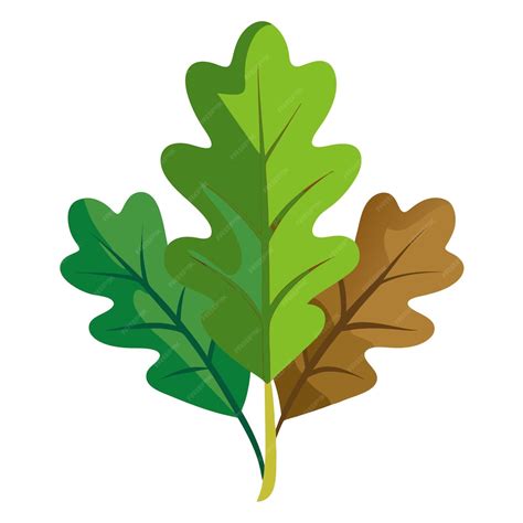 Oak Leaves Vector On White Background Premium Ai Generated Vector