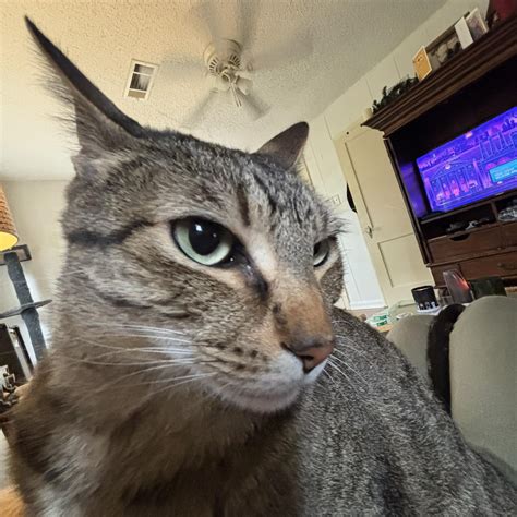 Shawn Ryan Watch The Full Preview With My Next Guest Facebook