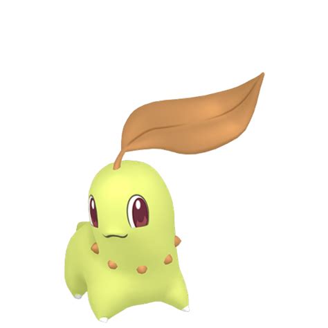 Chikorita En Pokémon Go Mejor Moveset Counters E Ivs