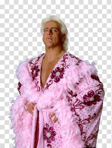 Free Ric Flair Png 93 Images In Collection Page 1 Nohat Cc