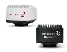 Lumenera Infinity 显微相机 韵翔光电