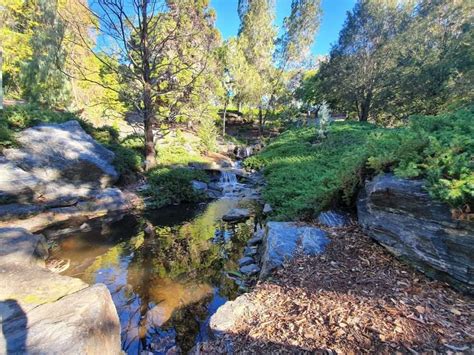 Brisbane Botanic Gardens Mt Coot Tha Explore Seq