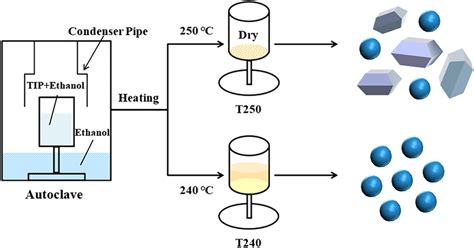 Schematic Of Synthesis Process Download Scientific Diagram