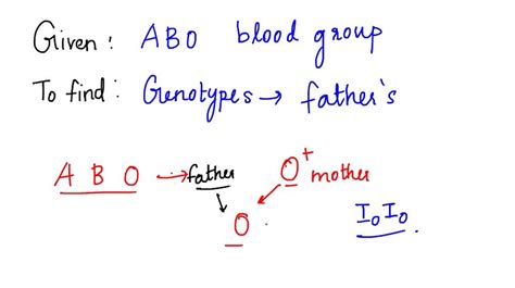 Solved The Abo Blood Groups In Humans Are Determined By A Multiple