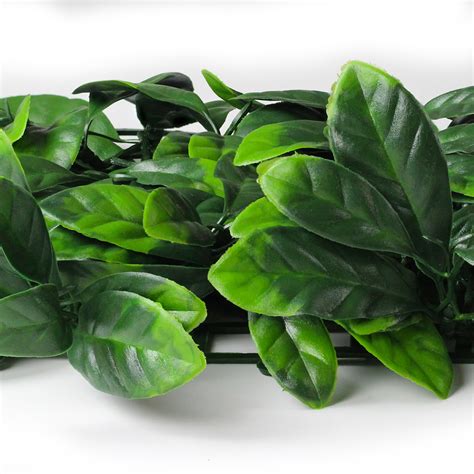 Willow Hedge Simple Turf