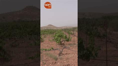 Aún No He Cobrado La Pac Descubre Las Razones Y Soluciones En Este Artículo Ppnaviaes