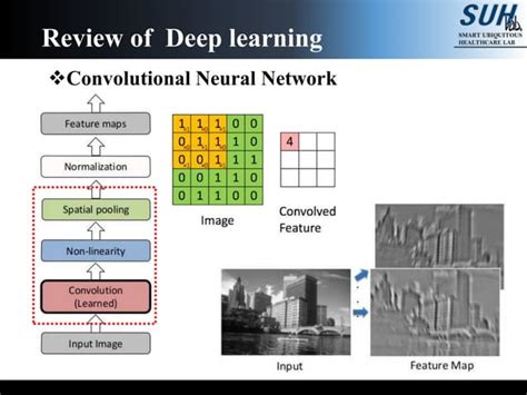 Convolutional Neural Network From Vgg To Densenet