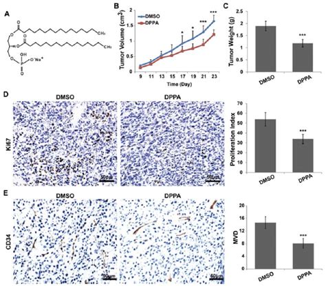 Dppa Inhibits 4t1 Subcutaneous Tumor Growth In Vivo A The Structure