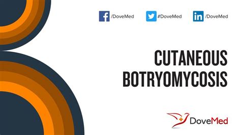 Cutaneous Botryomycosis